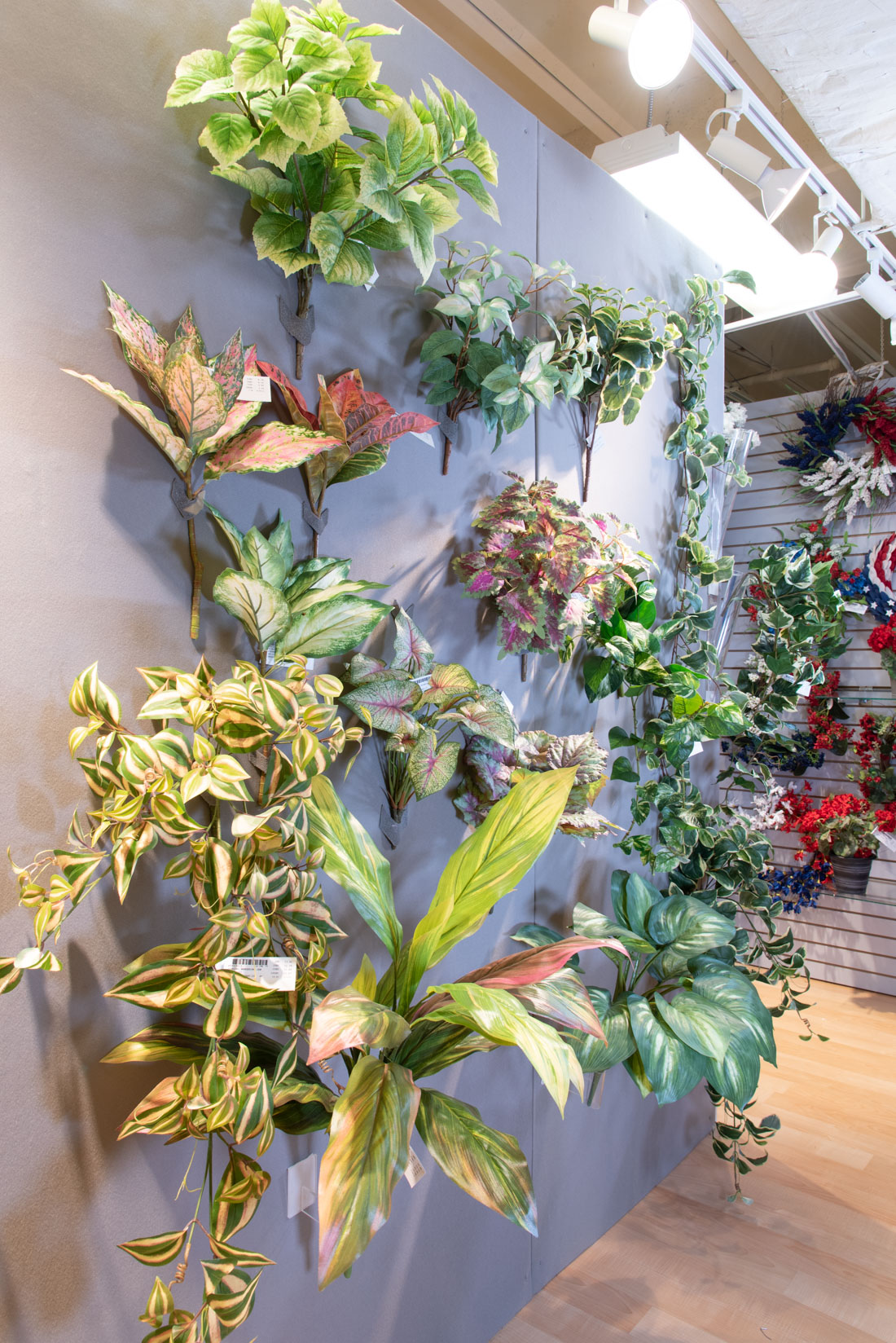 Showroom Foliage